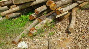 La importancia de reciclar madera - Erenovable.com