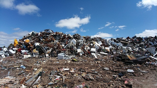 Biodegradable - Qué es, ejemplos y ventajas de los materiales ...