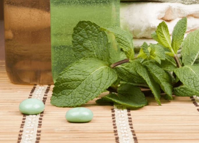 8 formas de usar aceite de menta para el pelo - Erenovable.com